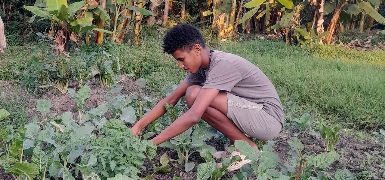 Reflexión Maryknoll: El olor de la lluvia | Misioneros Maryknoll